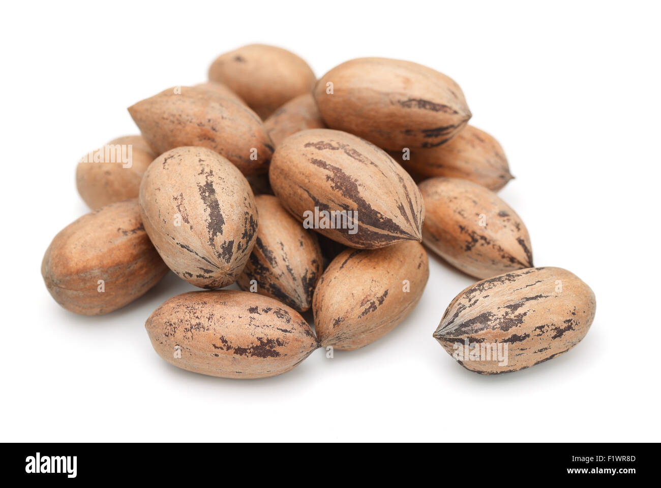 Heap of pecan nuts in shell isolated on white Stock Photo - Alamy