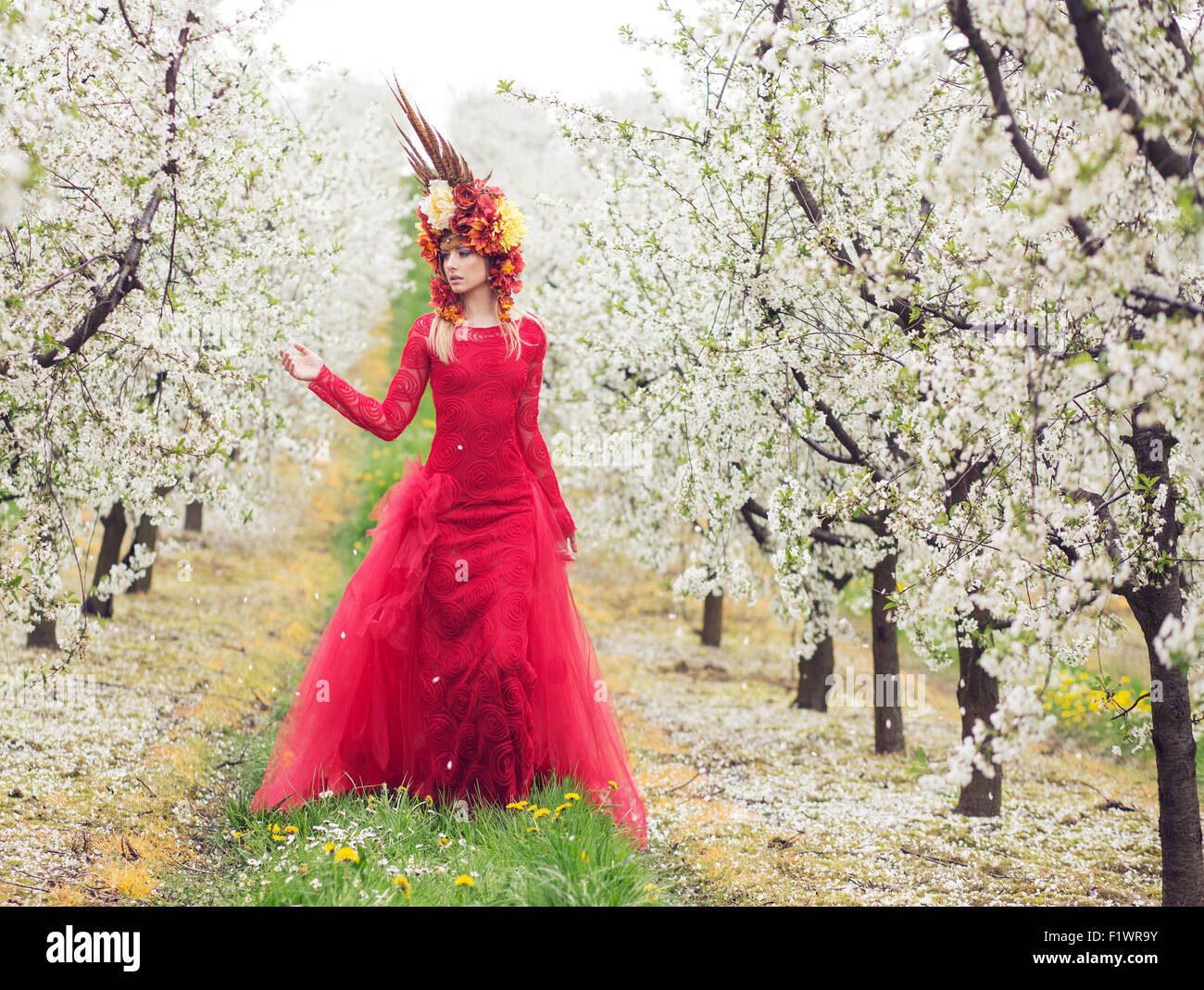 Lady Spring in the apple orchard Stock Photo - Alamy