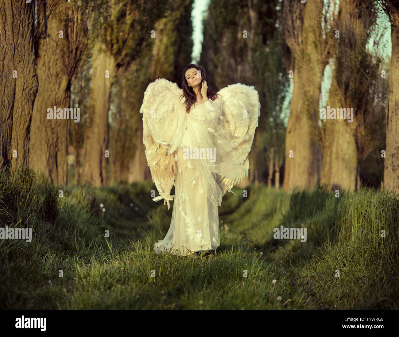 Wonderful female angel walking across the spring forest Stock Photo - Alamy