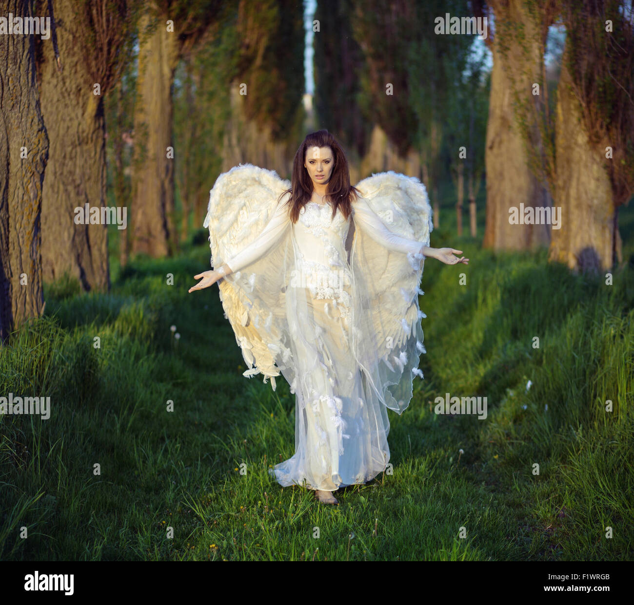 Angel forest hi-res stock photography and images - Alamy