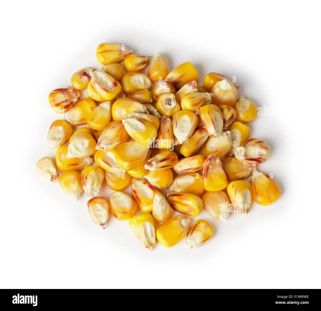 corn seeds on the white background Stock Photo - Alamy