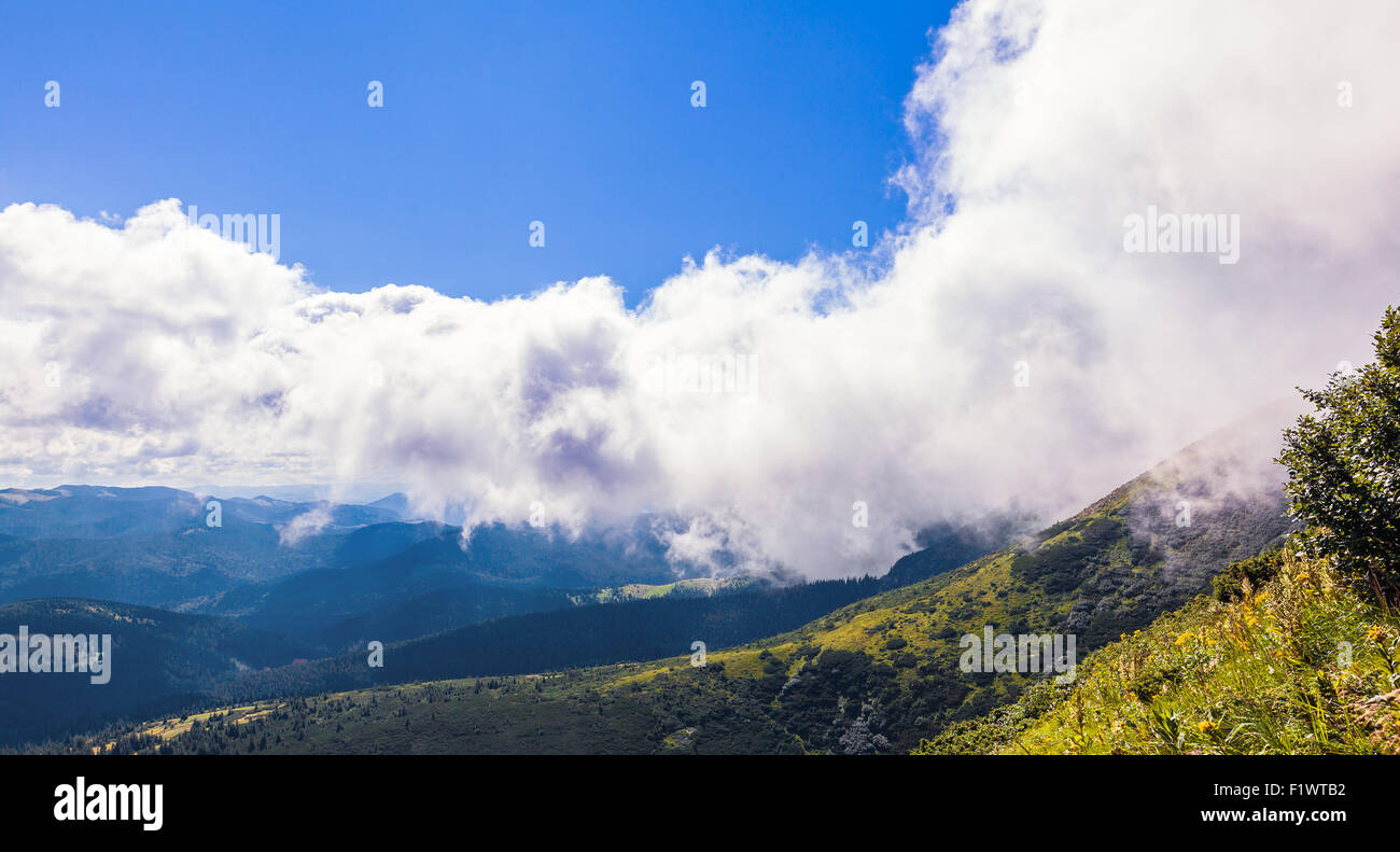 summer landscape of the Montenegrin ridge in Carpathians Stock Photo ...