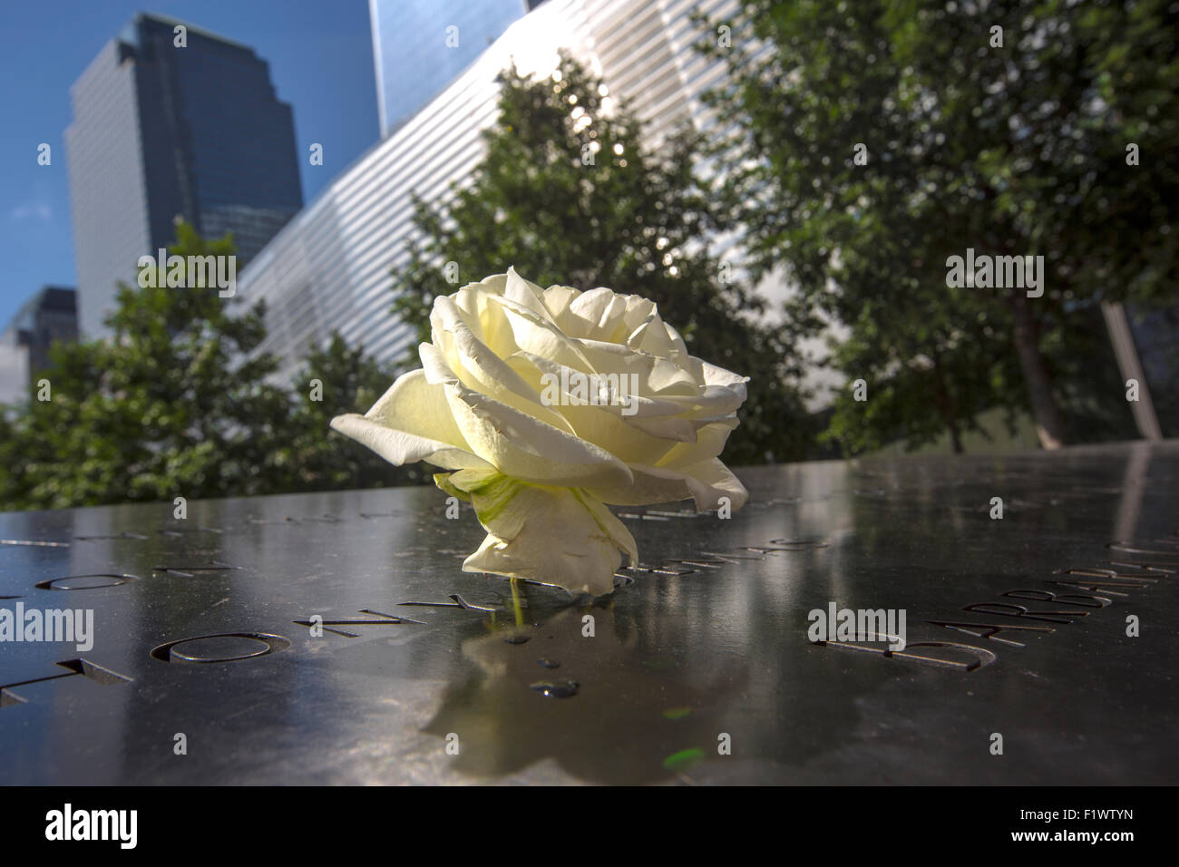 A rose at Ground Zero, Nine Eleven memorial Stock Photo - Alamy
