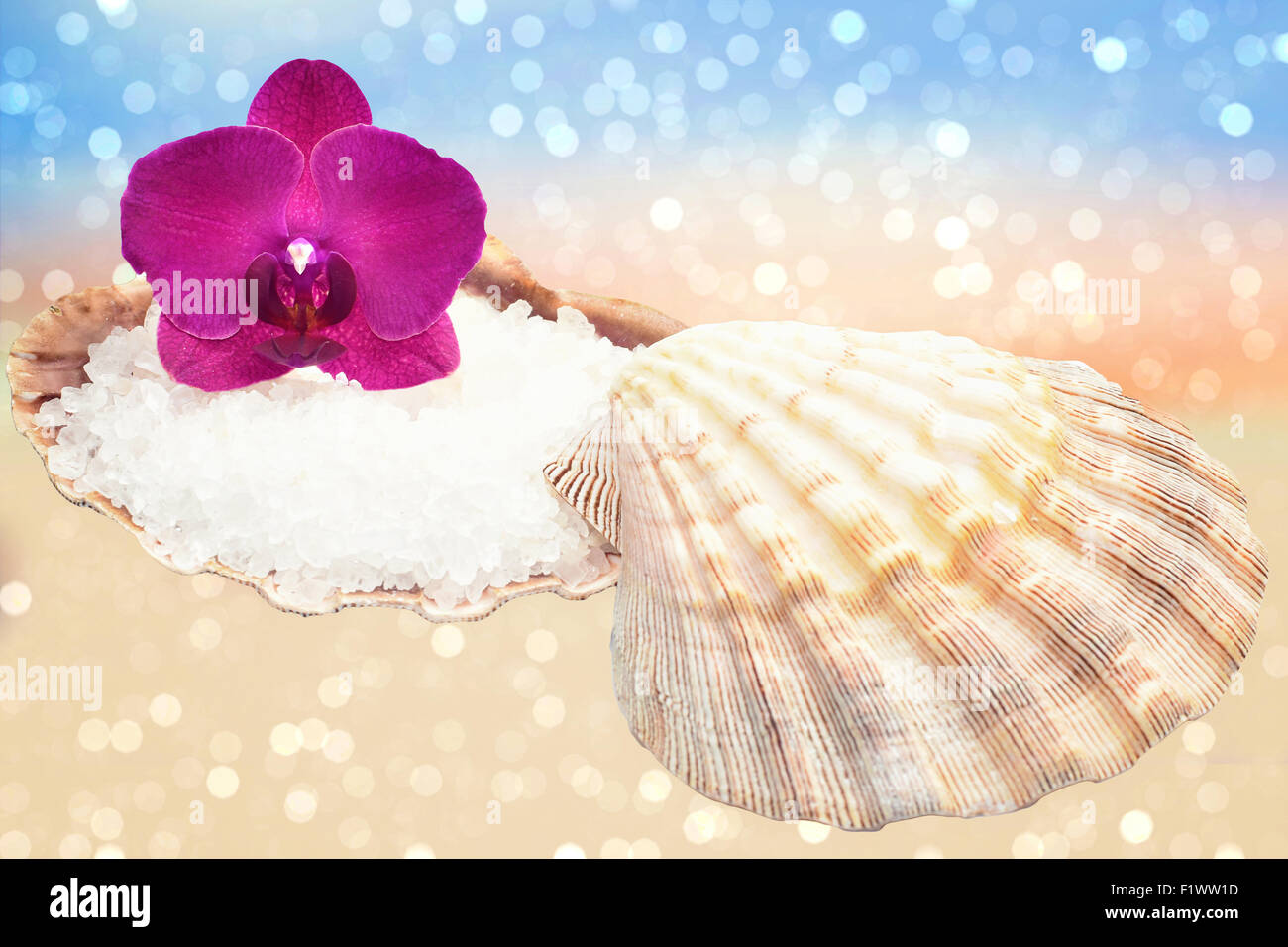 Orchid and seashell with sea salt on a sparkling bokeh sandy beach ...
