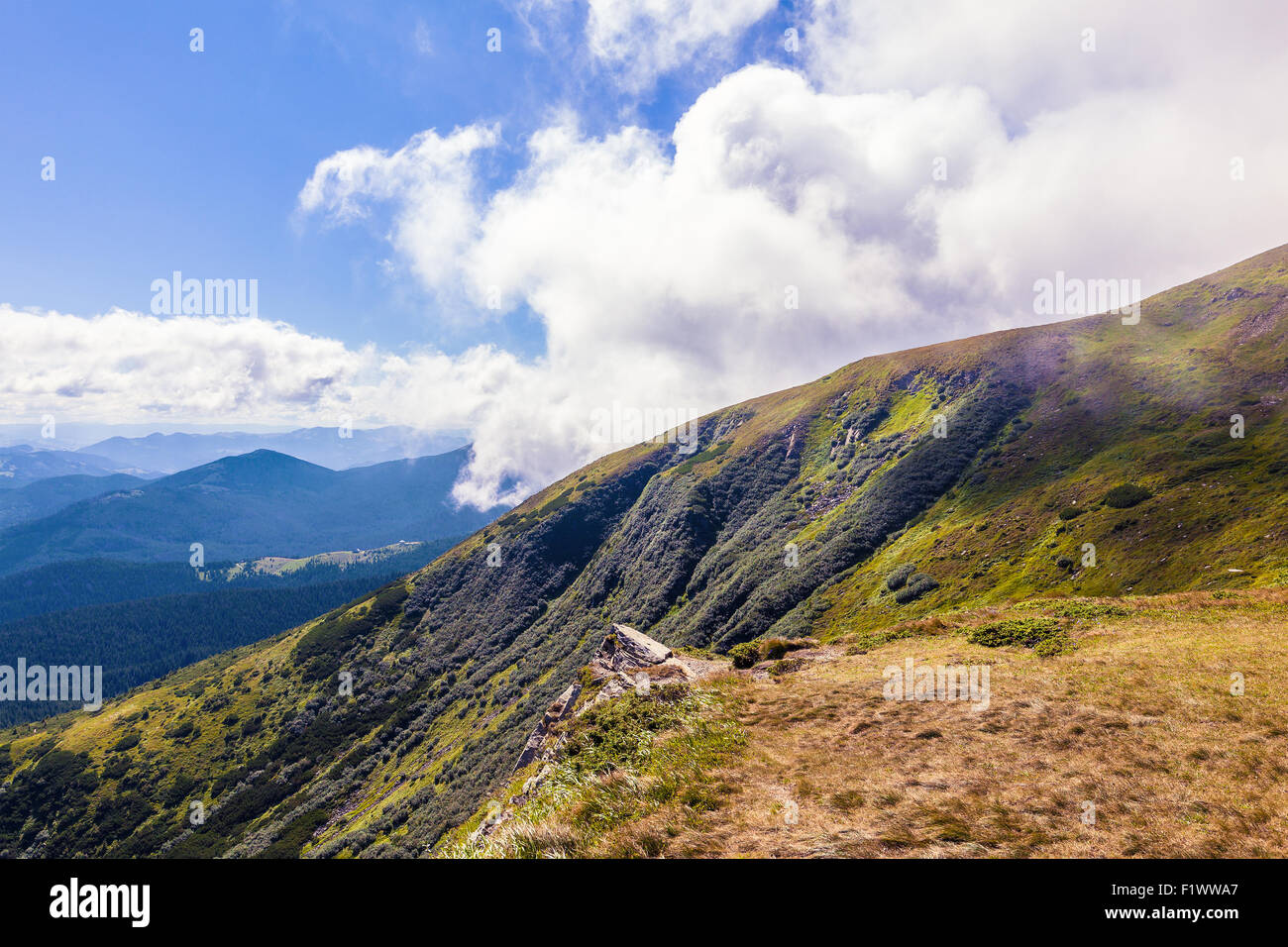 summer landscape of the Montenegrin ridge in Carpathians Stock Photo ...