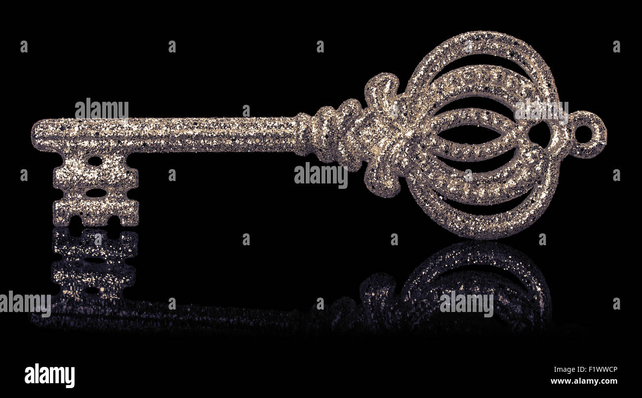 golden key on the black background Stock Photo - Alamy