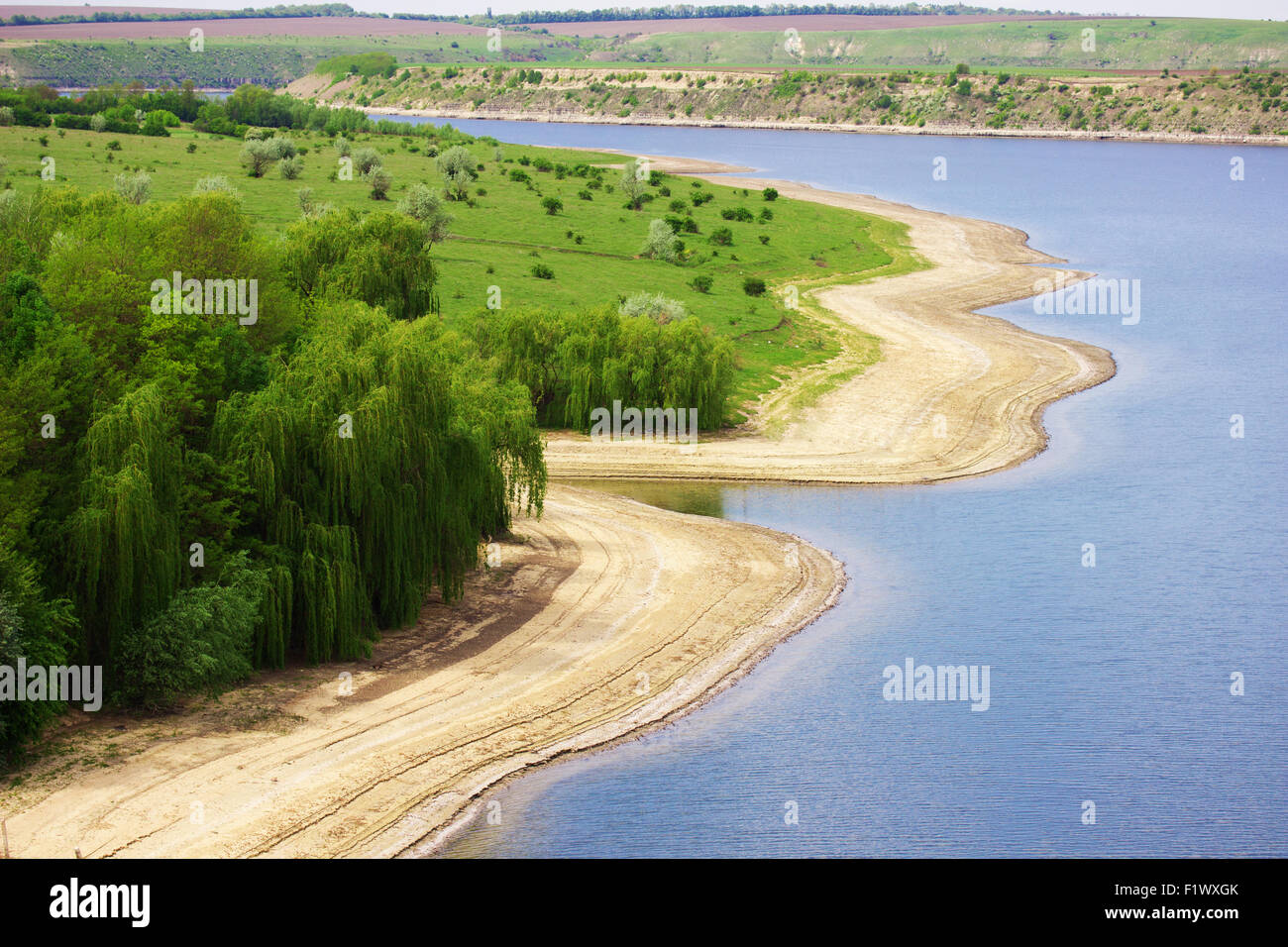 Green trees hi-res stock photography and images - Alamy