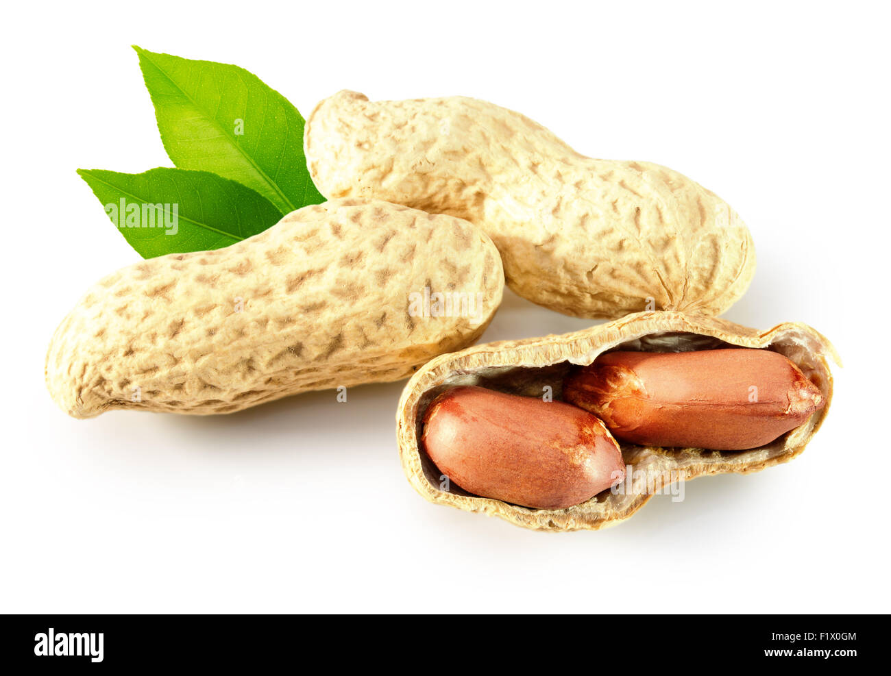 peanuts in shell isolated on the white background Stock Photo - Alamy