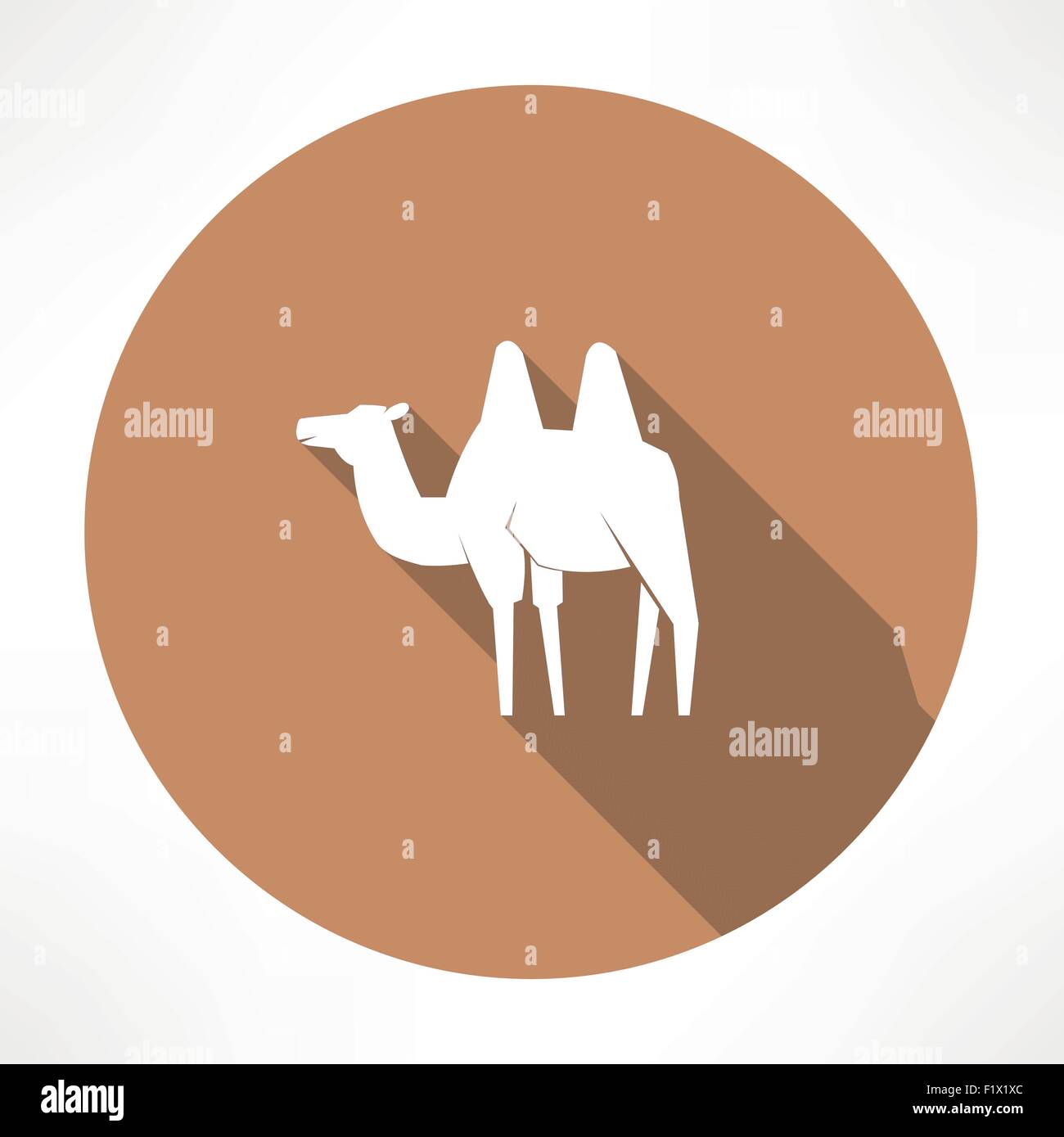 Camel muzzle Stock Vector Images - Alamy