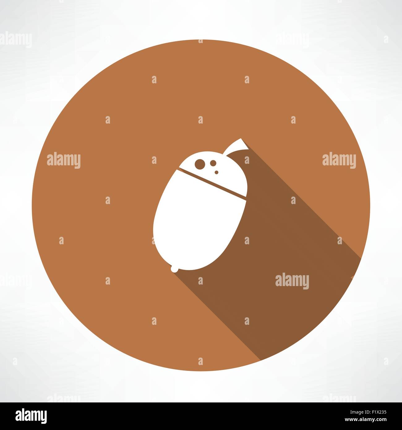 Acorn shape hi-res stock photography and images - Alamy