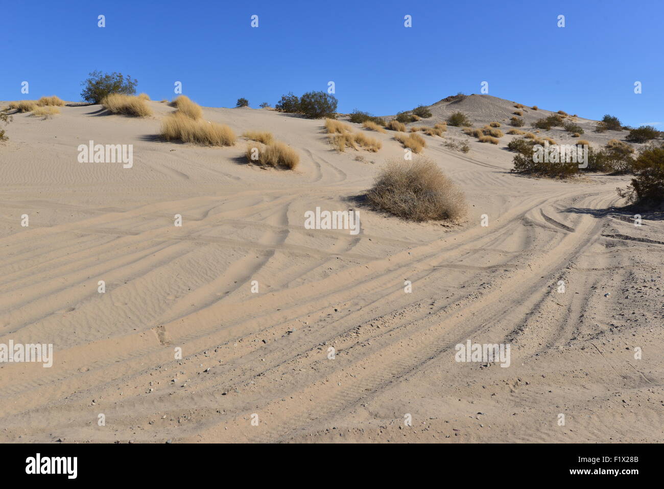 A dirt track in the desert at Lake Havasu Stock Photo - Alamy