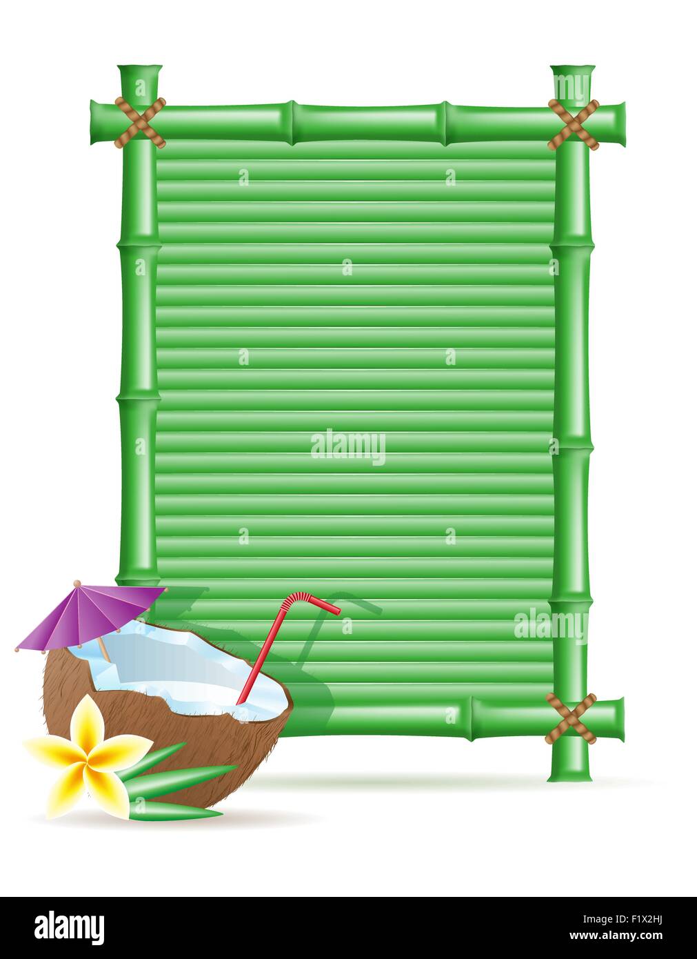 bamboo frame and coconut vector illustration isolated on white ...