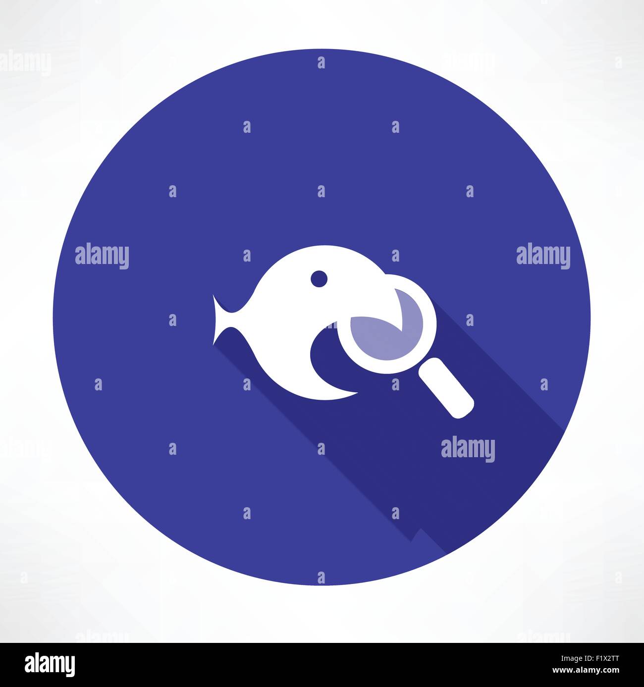 Magnifying Glass with a fish icon. Flat modern style vector ...