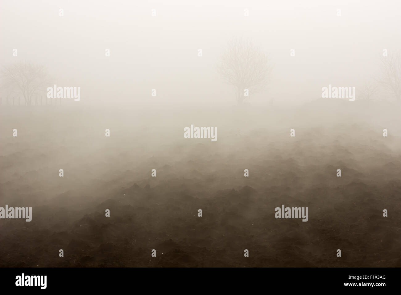 fog over a ground Stock Photo - Alamy