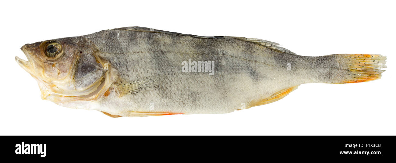 dried fish isolated on a white background Stock Photo - Alamy