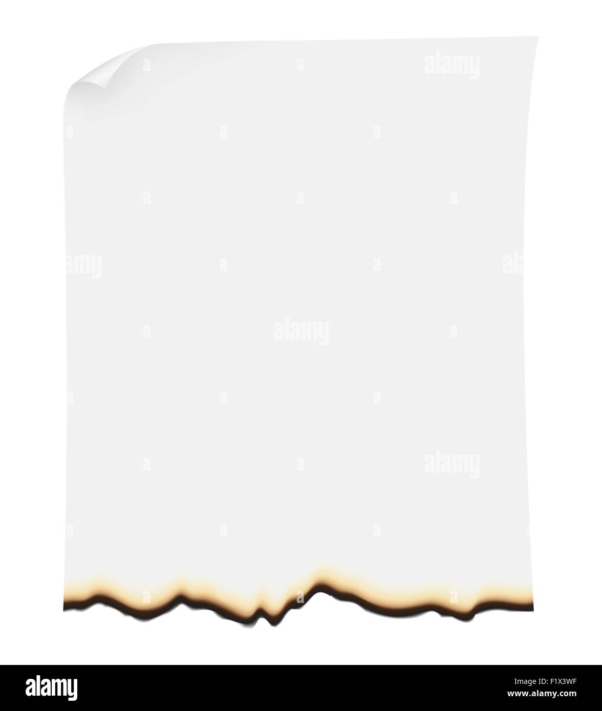 burnt paper vector illustration isolated on white background Stock ...