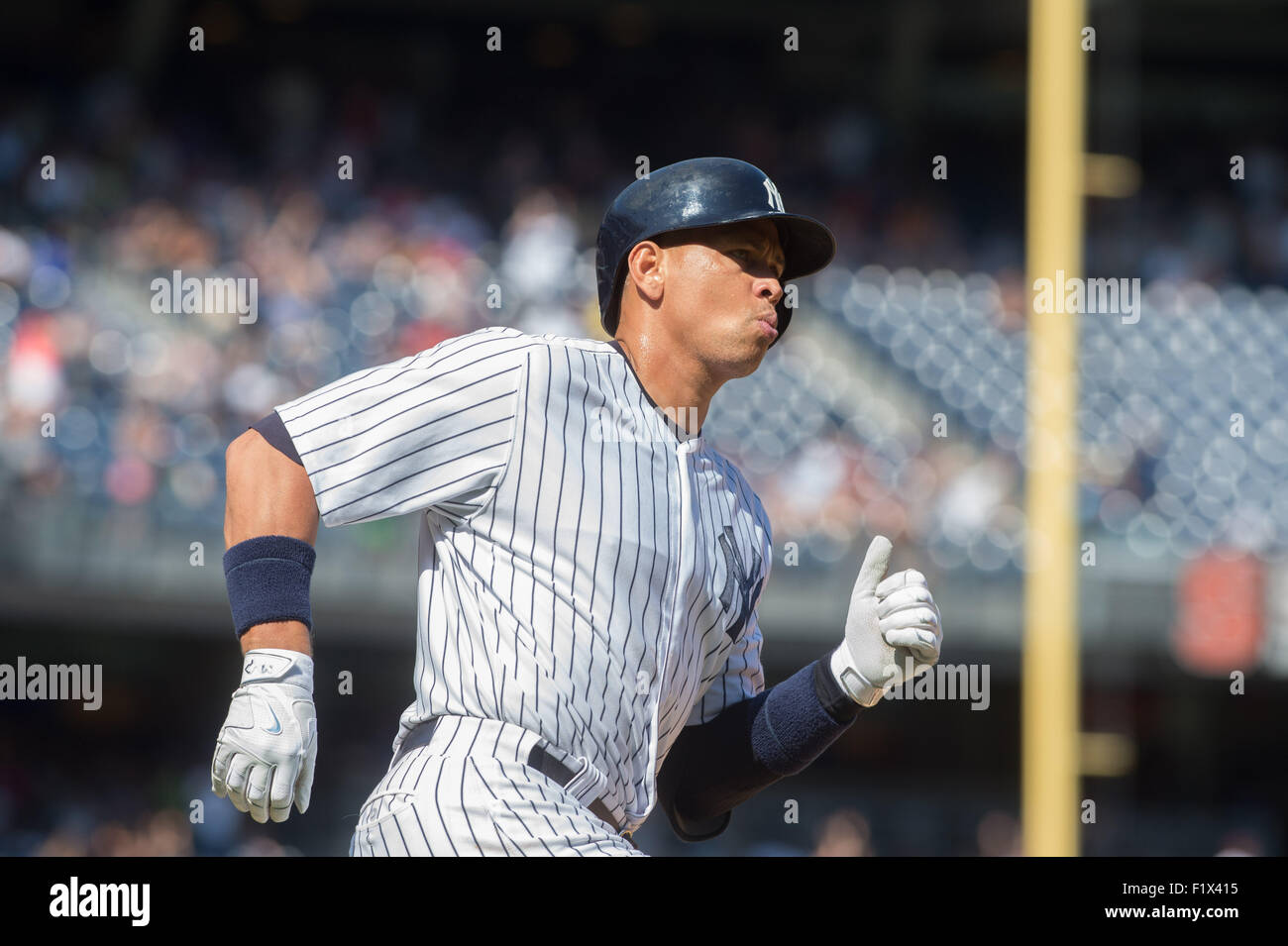 New York, New York, USA. 7th Sep, 2015. Yankees' ALEX RODRIGUEZ hits a ...