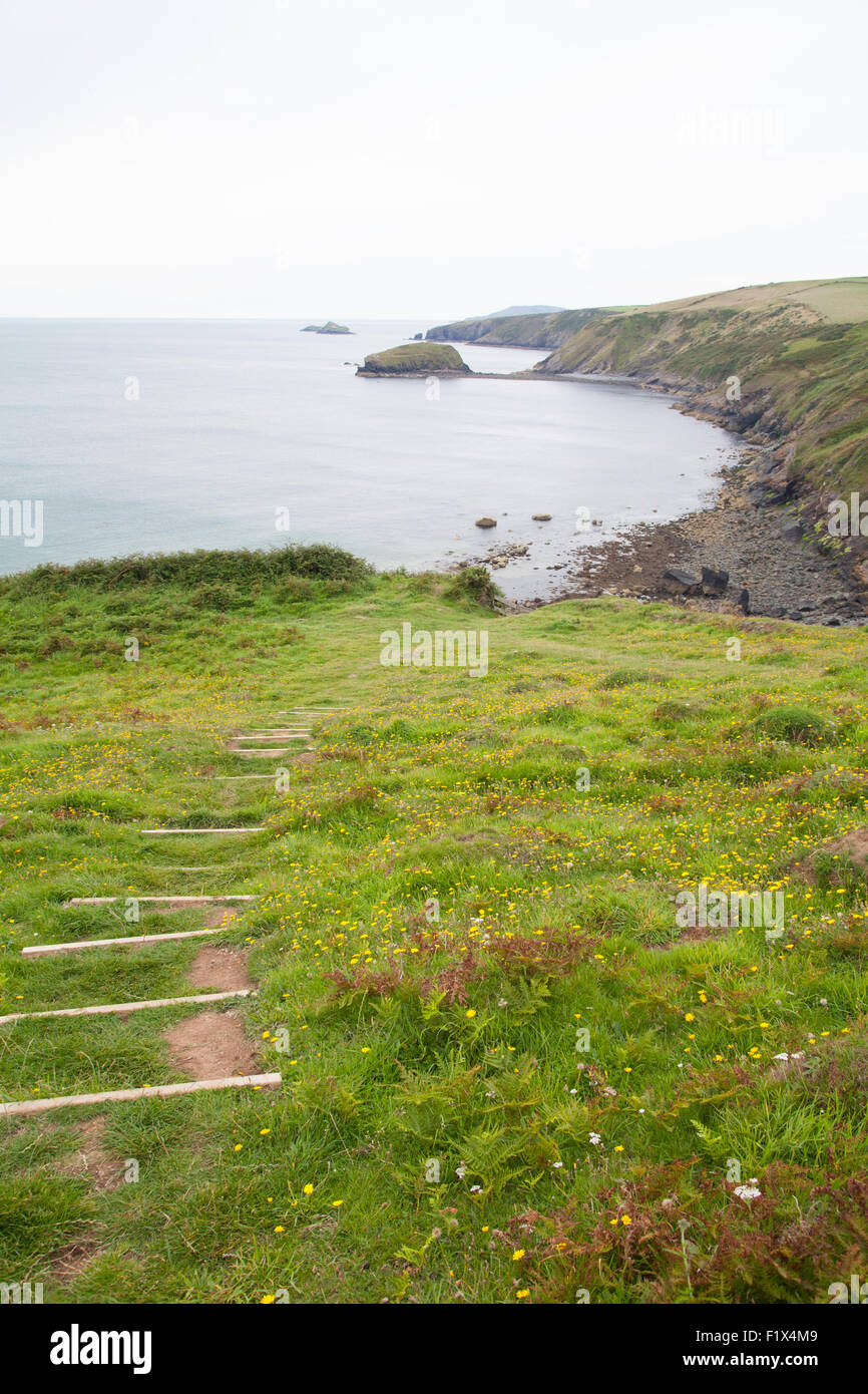 Wales coastal path footpath / earth steps leading down to Porth Ysgo ...