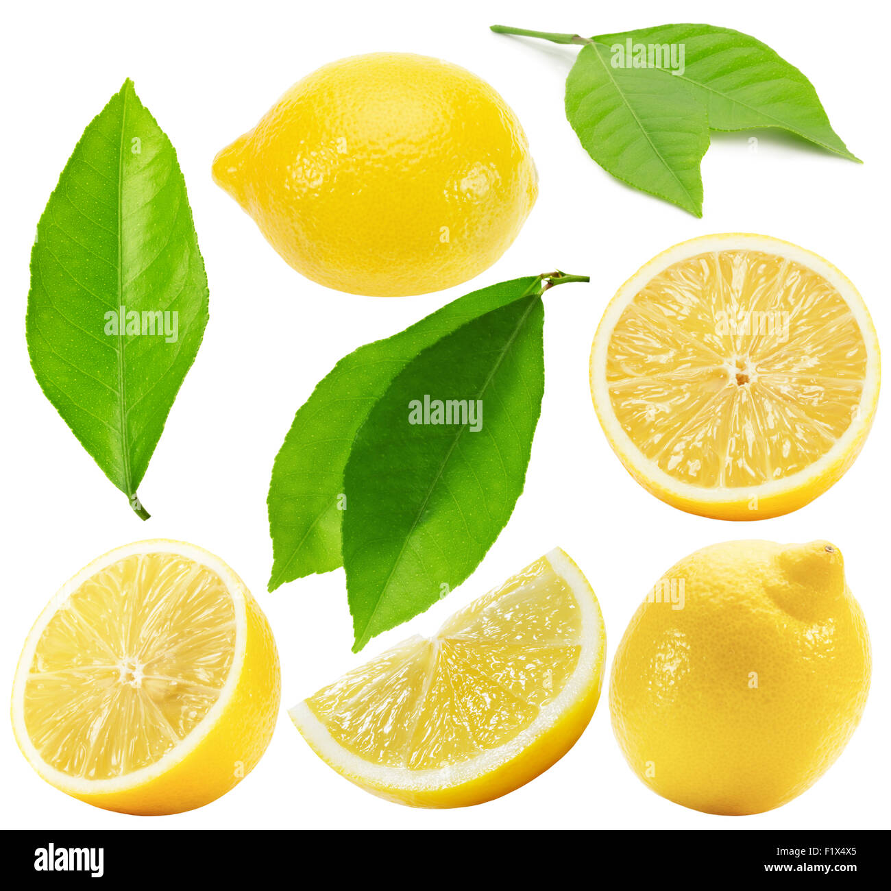 collection of lemons isolated on the white background Stock Photo - Alamy