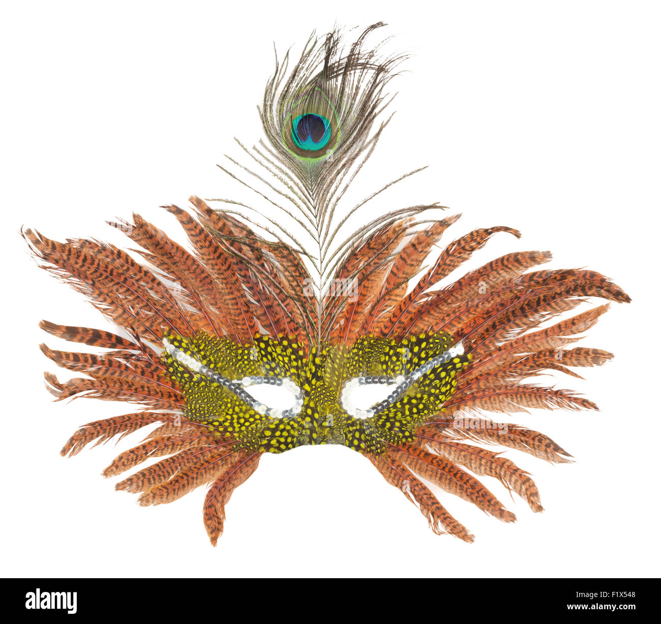 Peacock feather background hi-res stock photography and images - Alamy