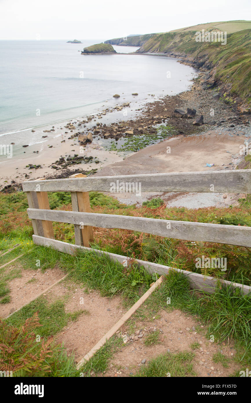 Earth steps with wooden handrail on footpath leading down to Porth Ysgo ...