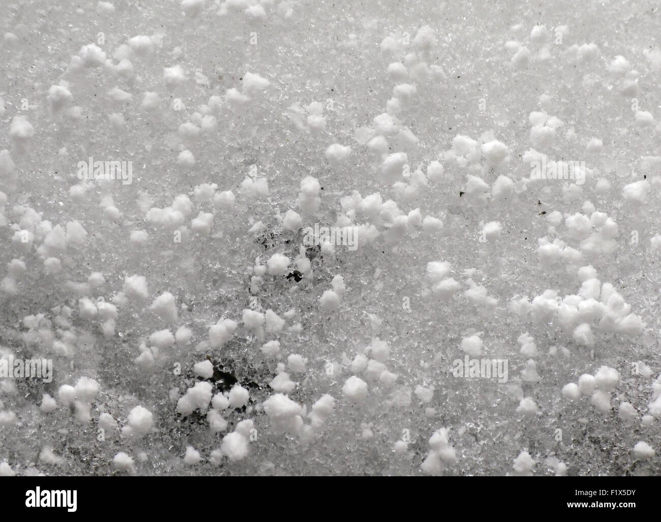 Precipitation with small icy hail balls closeup Stock Photo - Alamy