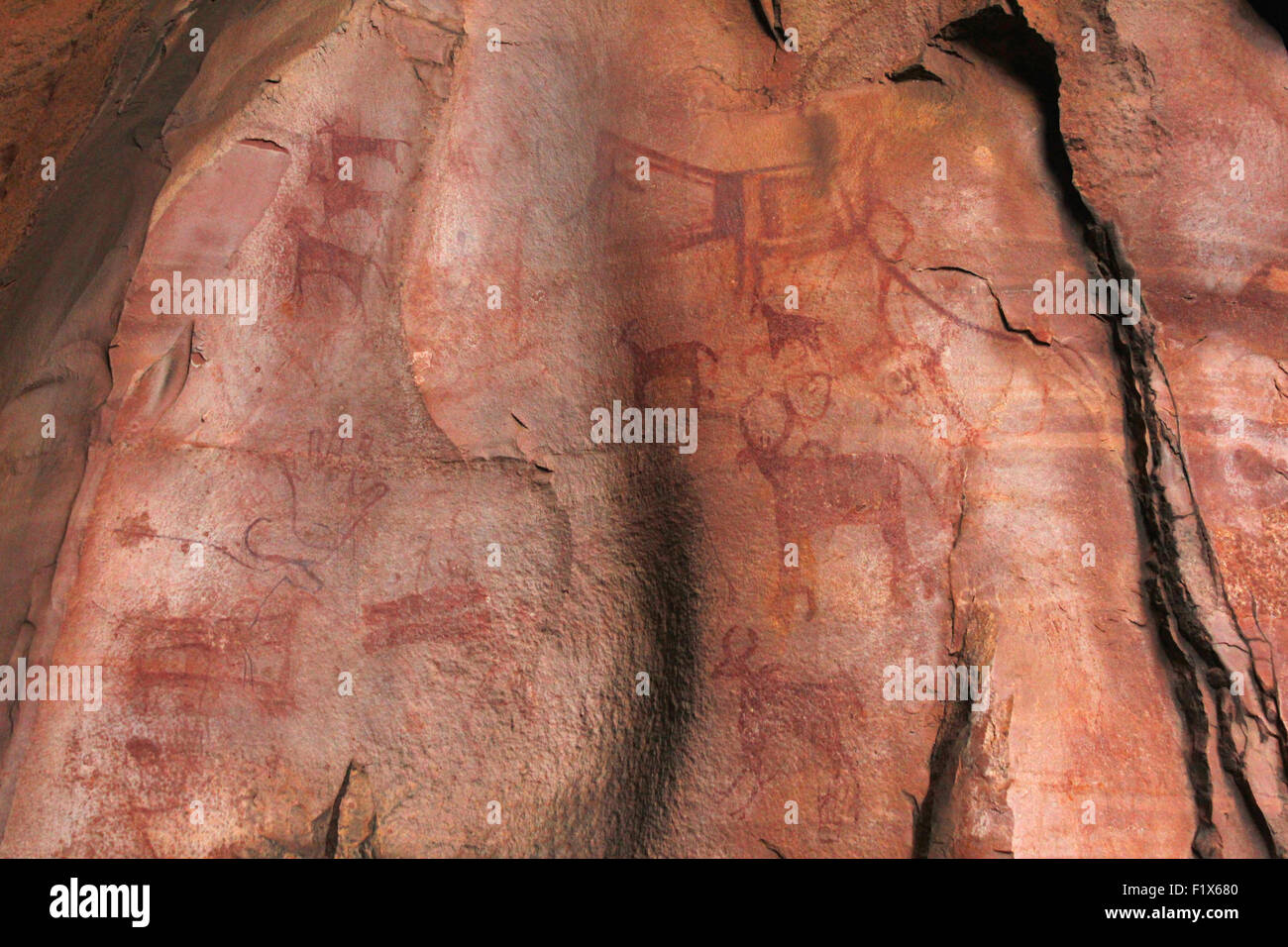 Depiction of animals. This rock painting is app 5,000 to 10,000 years ...