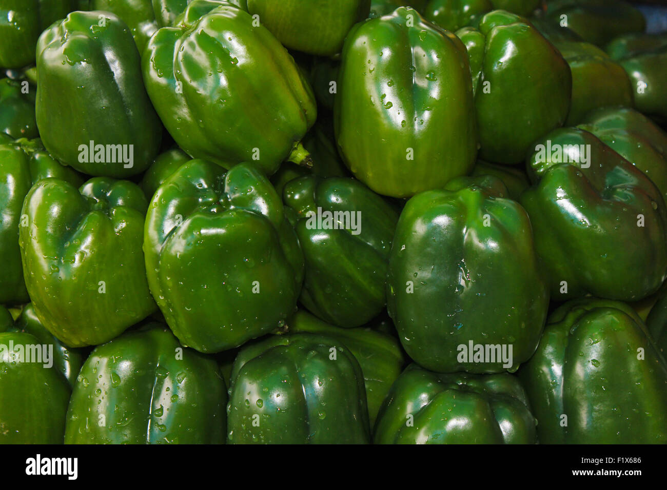 Fresh Capsicum for sale at New Market, Bhopal, Madhya Pradesh, India ...