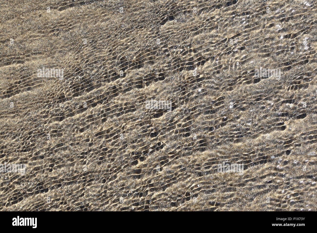 Surf ripples hi-res stock photography and images - Alamy