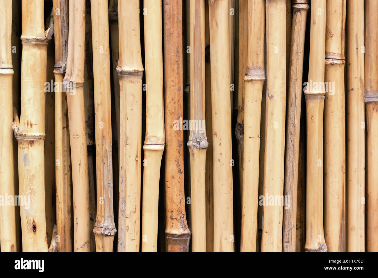 bamboo like a background Stock Photo - Alamy