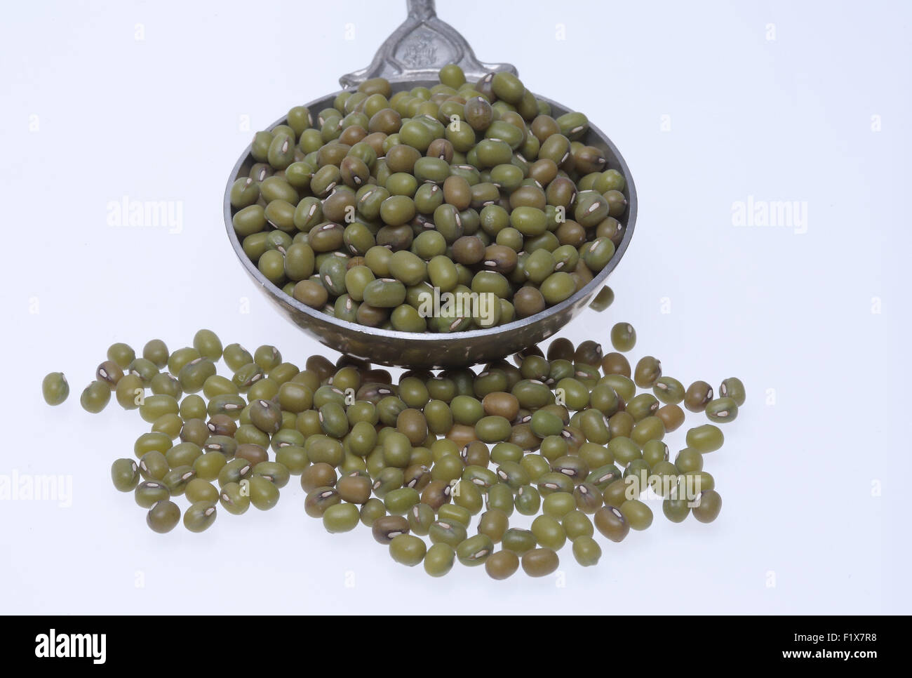 Mung bean, Vigna radiata, also Jerusalem bean, mung dal Stock Photo - Alamy