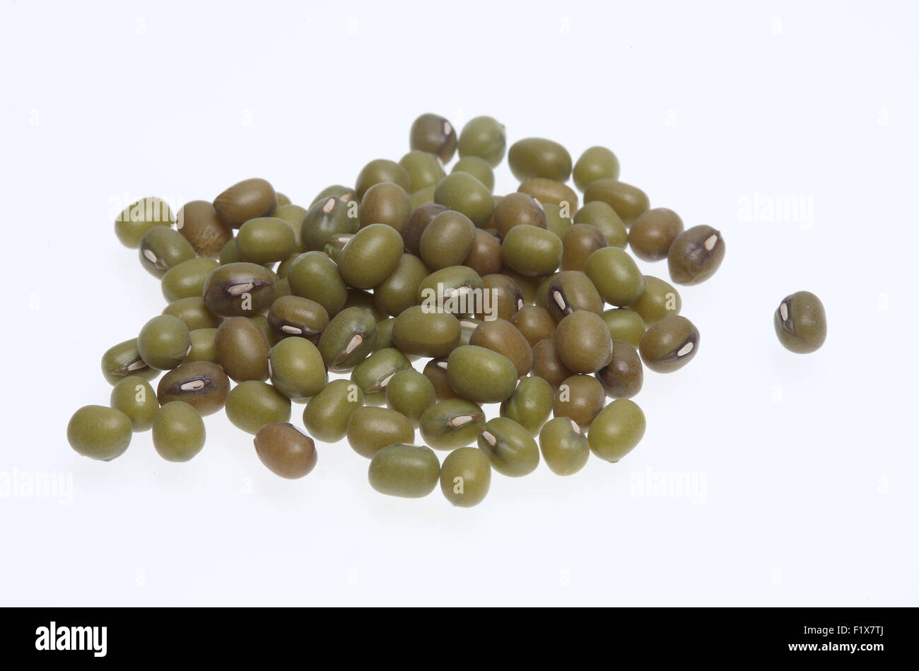 Mung bean, Vigna radiata, also Jerusalem bean, mung dal Stock Photo - Alamy