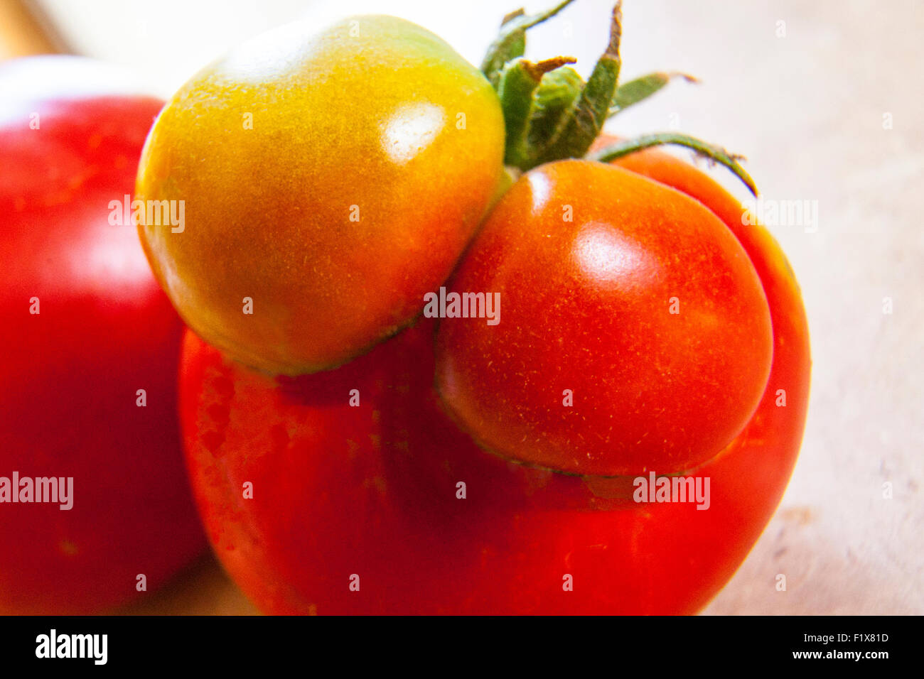 A abnormal tomato with two hitchhikers Stock Photo - Alamy