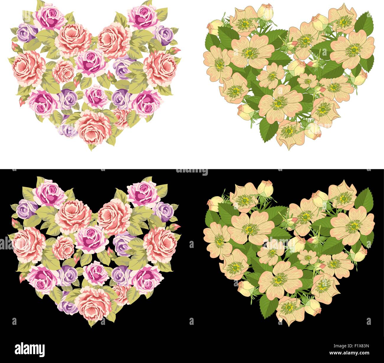 Two different heart made of roses on a white and black background Stock ...