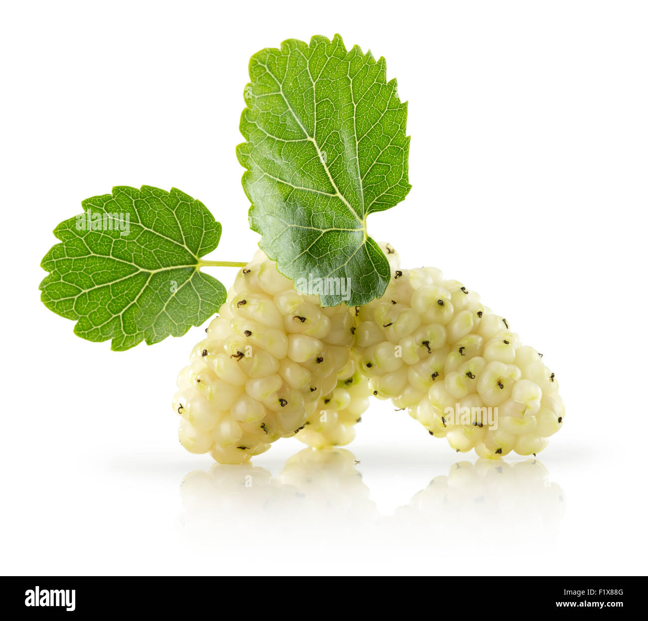 white mulberries isolated on the white background Stock Photo - Alamy