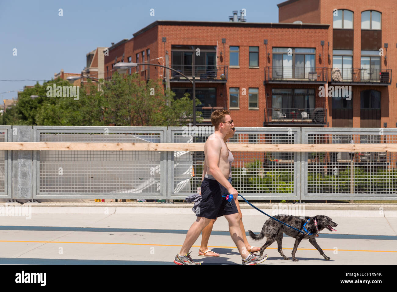 Walkers along the 606 elevated bike trail, green space and park built ...