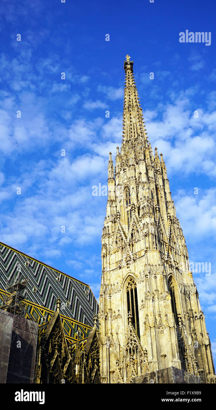Details of St. Stephan cathedral in Vienna, Austria Stock Photo - Alamy