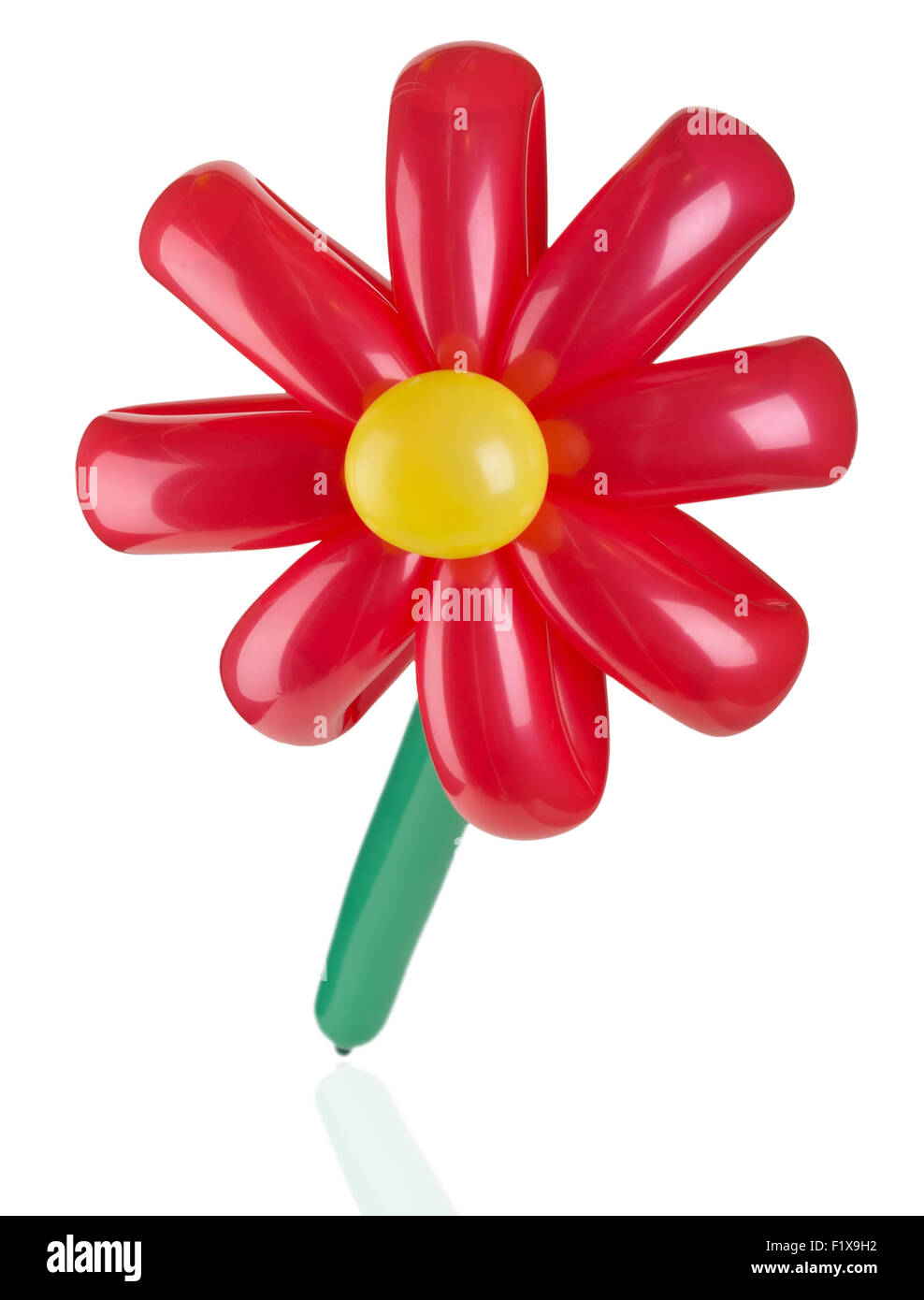 Balloon flower hi-res stock photography and images - Alamy