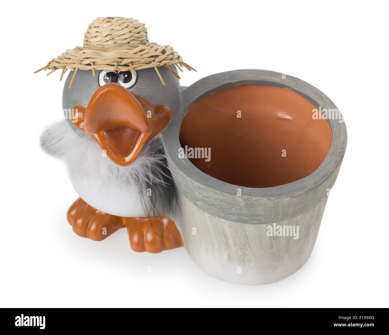 Duck with hat hi-res stock photography and images - Alamy