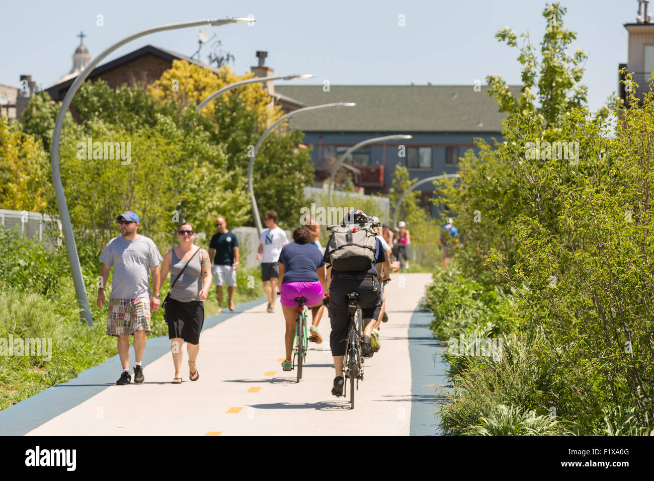 Bicyclists on the 606 elevated bike trail, green space and park built ...