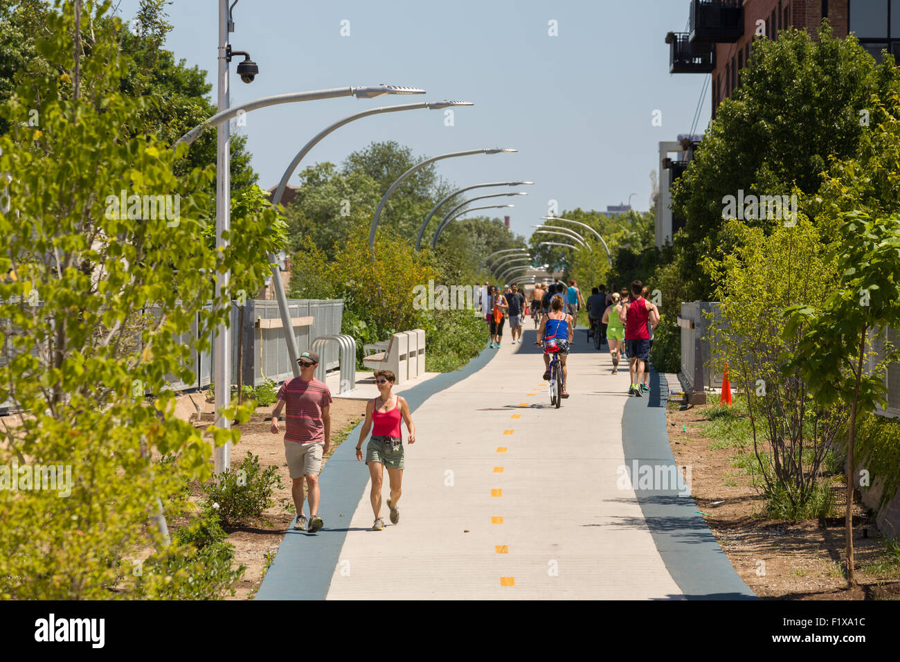 Bicyclists on the 606 elevated bike trail, green space and park built ...