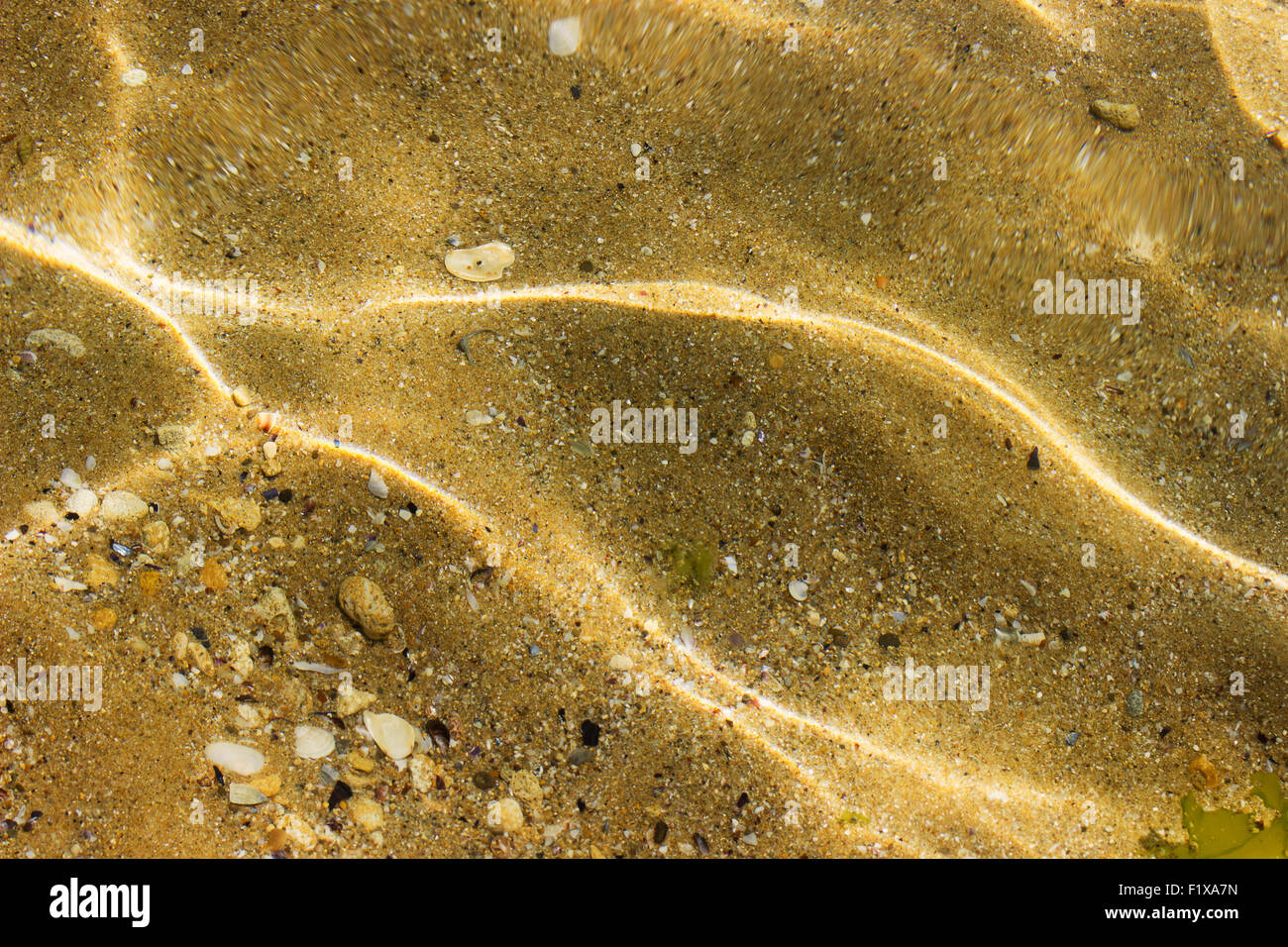 golden sea sand Stock Photo - Alamy