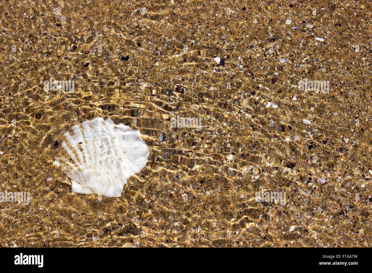 White ocean water hi-res stock photography and images - Alamy