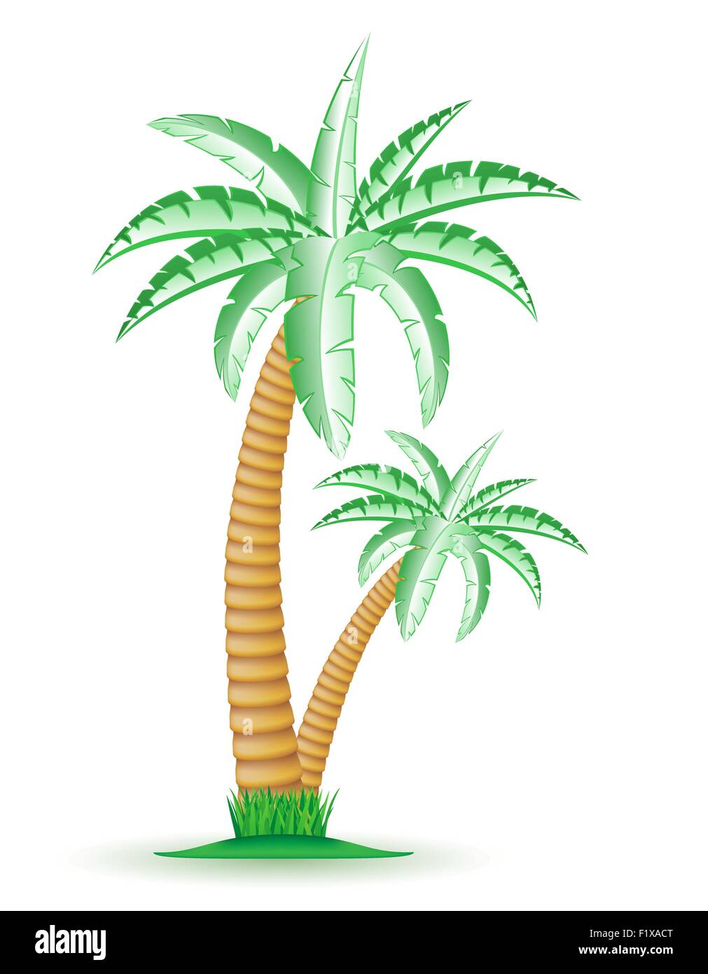 palm tropical tree vector illustration isolated on white background ...