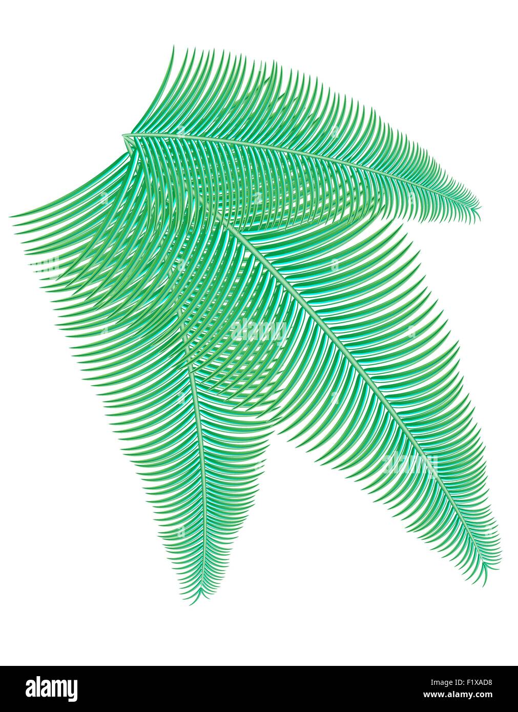 palm branch vector illustration isolated on white background Stock ...