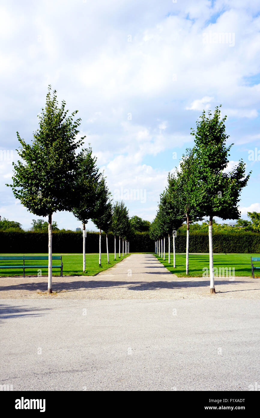green trees in the park vertical Stock Photo - Alamy