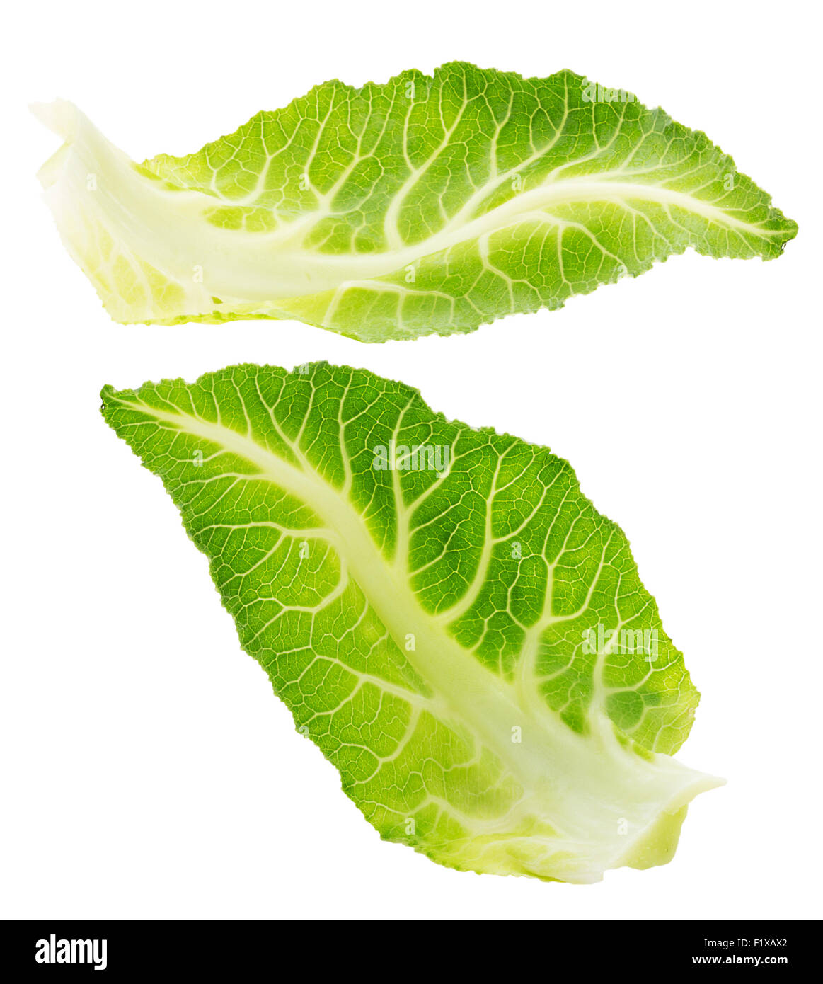 cabbage leaves isolated on the white background Stock Photo - Alamy