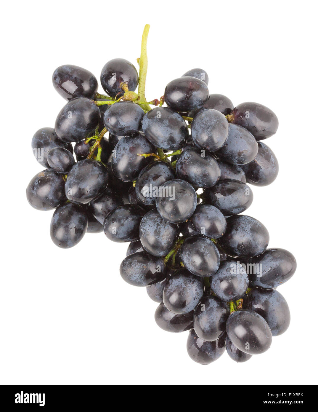 branch of grapes on a white background Stock Photo - Alamy