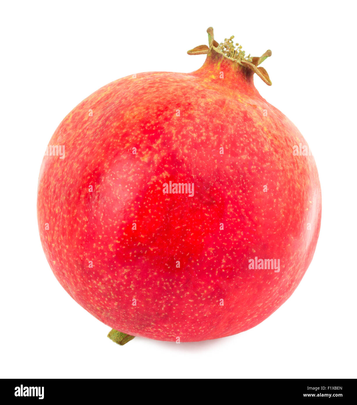 Cross section pomegranate hi-res stock photography and images - Alamy
