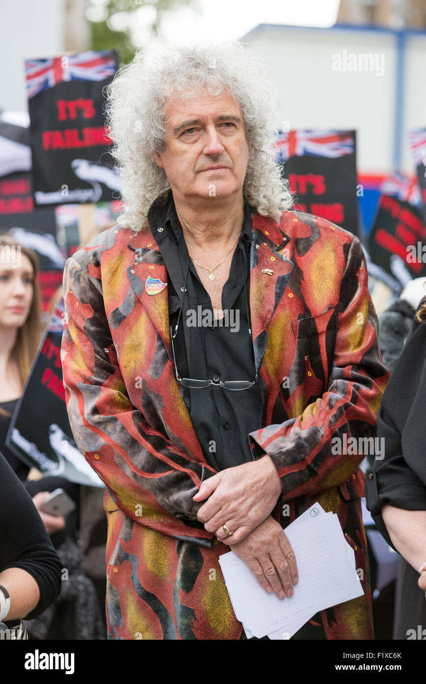 Brian may photo hi-res stock photography and images - Alamy